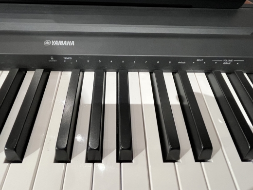 Gear Hunter | Yamaha - P45 B